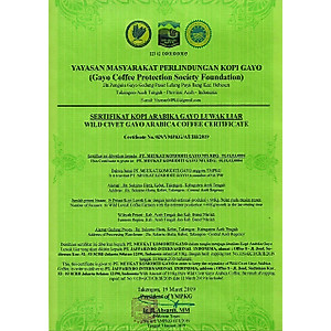 Wallacea Coffee Certified Wild Kopi Luwak Coffee Beans, Civet Coffee, Kopi Luwak From Gayo Sumatra Indonesia, coffee beans (8.8 oz)