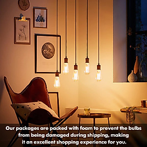 60 Watt Incandescent Edison Light Bulbs, Vintage Dimmable E26 Bulbs, ST64 2200K Warm White Antique 260LM E26 Medium Screw Base Amber Filament Bulbs for Home, Bedroom, Office, Decorative Lamp(4-Pack)