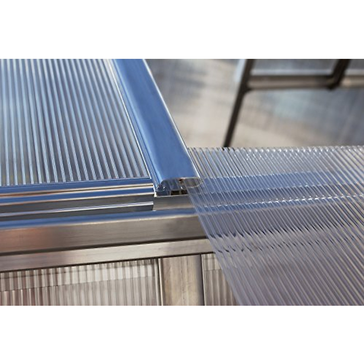 Palram - Canopia Bella Hobby Greenhouse, 8' x 8', Silver with Twin Wall Glazing