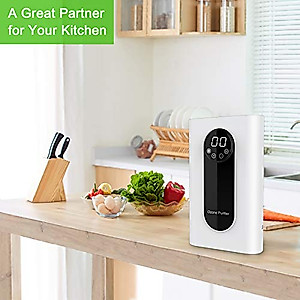 WSTA Portable Ozone Generator,1000mg/h Multipurpose Ozone Machine for Air,Water,Food,Home,Office,Hunting