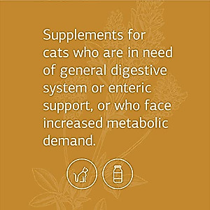 Standard Process - Feline Enteric Support - 90 Tablets