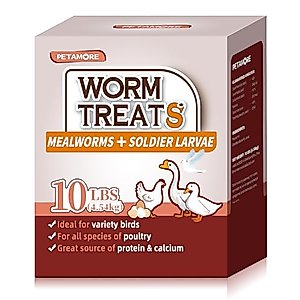NC Grubsnack 10lbs Dried Mealworms Black Soldier Fly Larvae Mix Treats for Backyard Chickens, Scratch Feed for Backyard Flock Party Poultry Fowl Layers hens with Rich Protein and Calcium