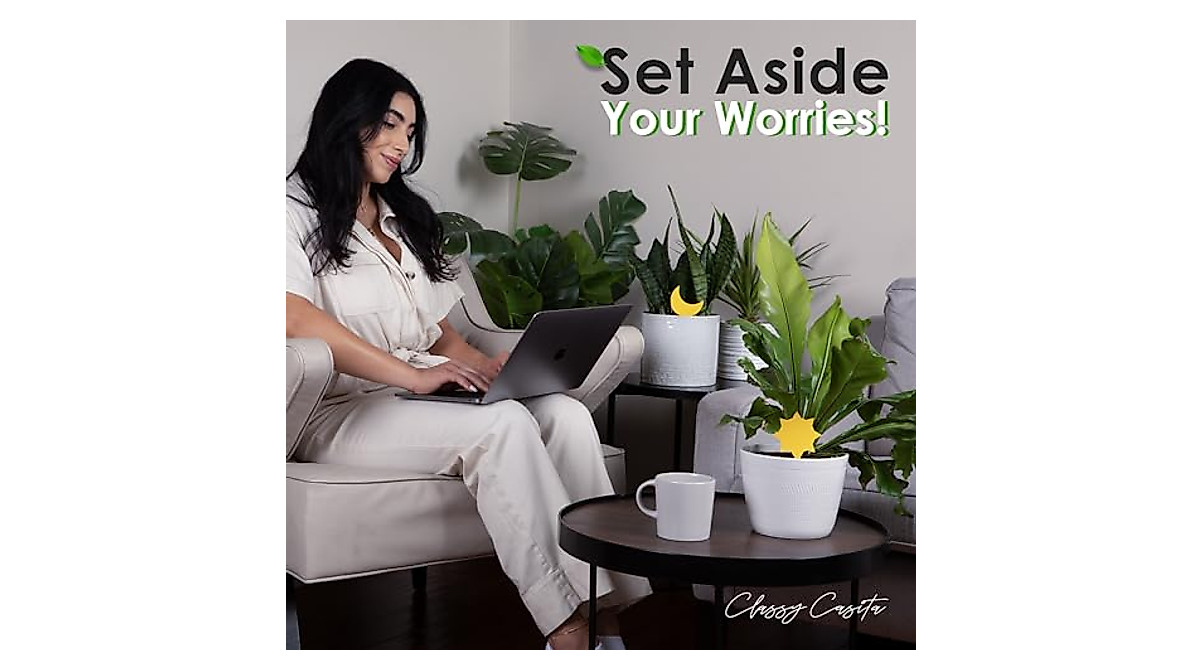 Classy Casita Yellow Sticky Traps for Plant Pest Control