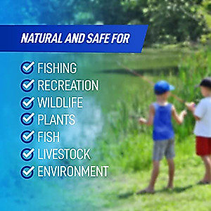 4X Blue Pond Dye - Transforms Murky Brown Water to Natural Blue Color - Super Concentrated Lake and Pond Dye - Liquid Pond Shade Treats Up to 1 Acre - Safe for Fish and Wildlife (32 oz)