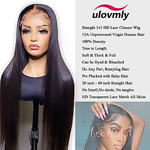 5x5 HD Lace Closure Wigs Human Hair Straight 5x5 Closure Wig 24 Inch Closure Wigs Human Hair Pre Plucked with Baby Hair 12A Unprocessed Virgin Human Hair Wig 180% Density for Women Natural Color