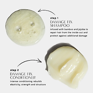 Prive Damage Fix Shampoo – Repair and Strengthen Damaged, Dull or Over Processed Hair from Within Natural Ingredients Vegan Cruelty-Free Color-Safe 12oz