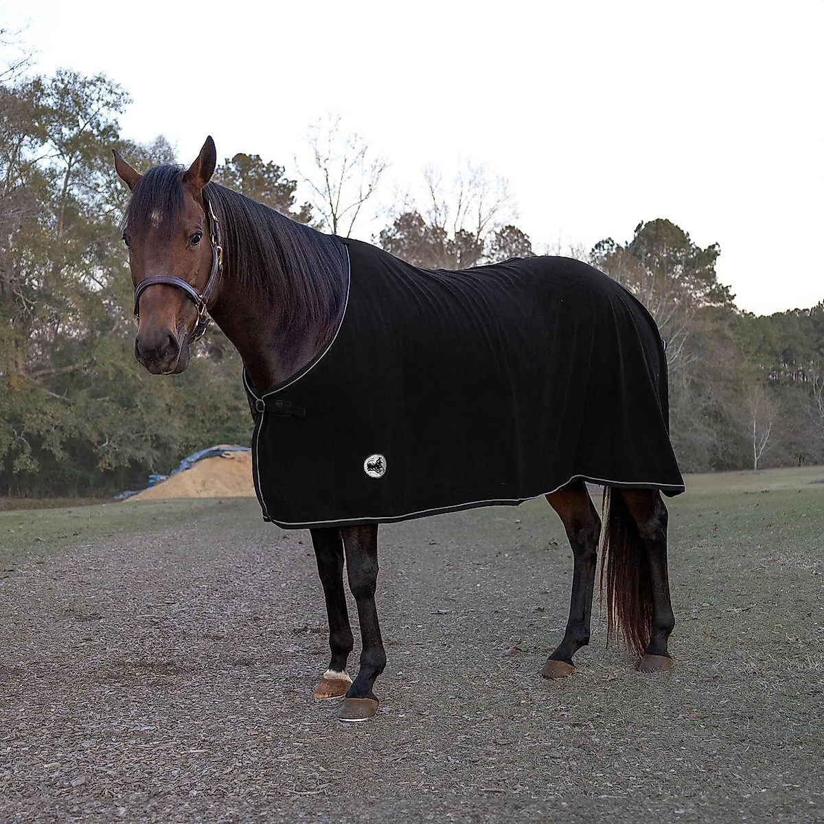 Jeffers Horse Fleece Cooler Blanket - Lightweight, Moisture-Wicking Western Blanket for Winter Warmth & Stable Use, Adjustable Fit, Durable & Easy-Care - Size 69", Black