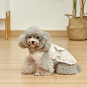 Philo Peri Shining Floral Dog Dress with Lace Elegent Dog Outfit for Party Wedding Birthday Puppy Apparel Bowknot Cat Dress (XS)