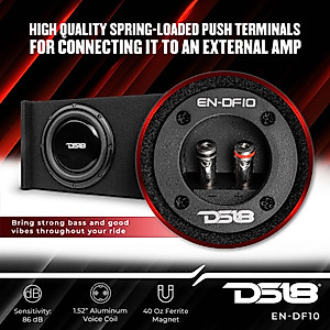 DS18 EN-DF10 10" Shallow Thin Subwoofer Enclosure Down-Firing Compact Sealed Design for Car Trucks 600 Watts Black