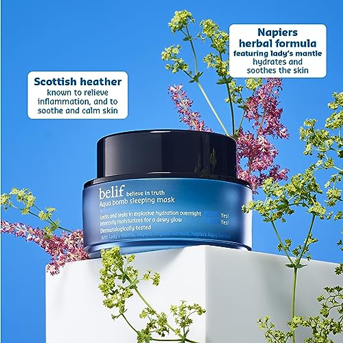 belif Aqua Bomb Sleeping Mask - Korean Jelly Night Cream, Skin Barrier Repair Overnight Moisturizer, Lightweight, Hydrating & Plumping, Napiers Herbal Formula, 1.6 fl oz