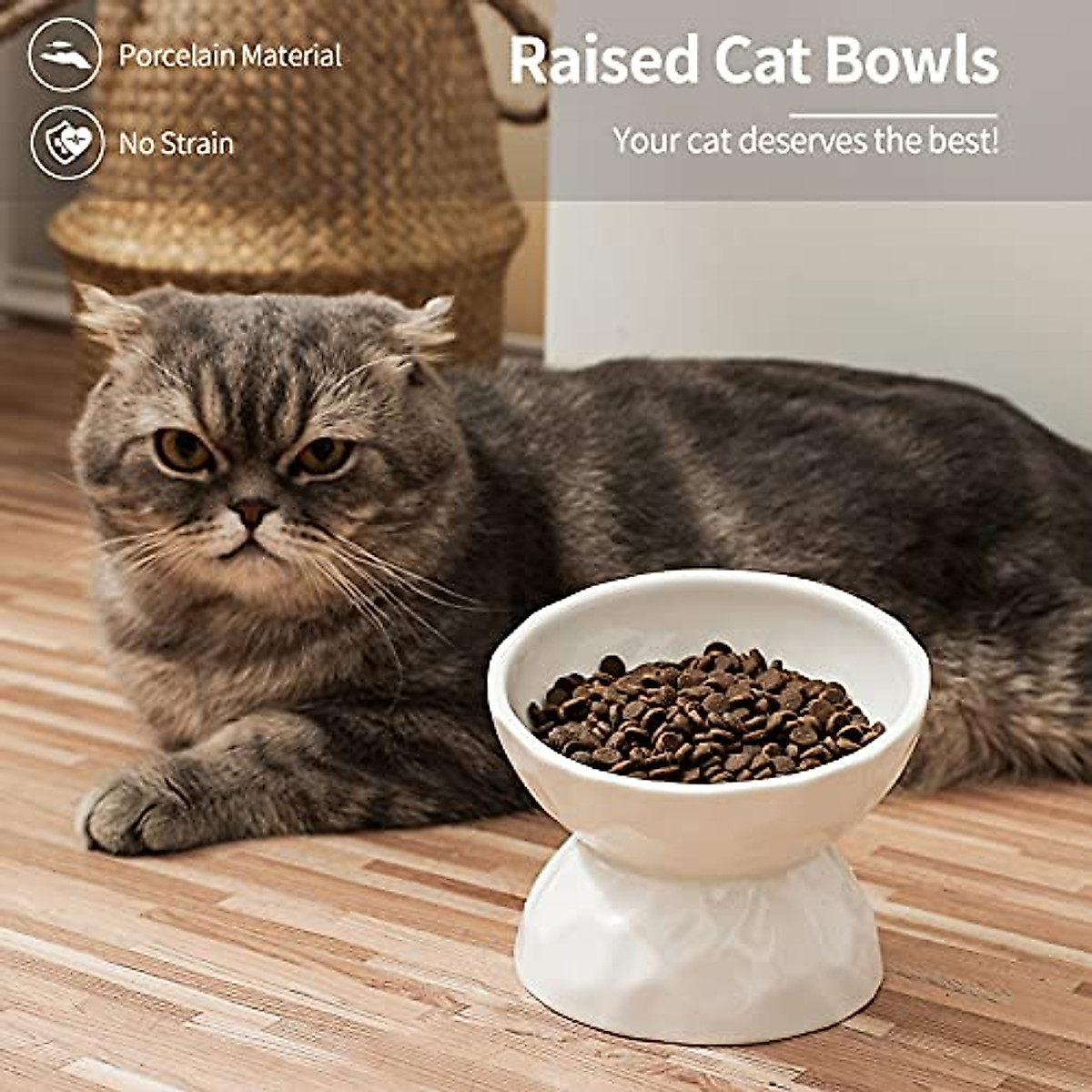 Ceramic Raised Cat Bowls, Tilted Elevated Cat Food and Water Bowls Set, Porcelain Stress Free Pet Feeder Bowl Dish for Cats and Small Dogs, Dishwasher and Microwave Safe, White & Green, Set of 2