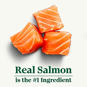 Nutro Natural Choice Small Bites Adult Dry Dog Food, Salmon & Brown Rice Recipe, 28 lb. Bag