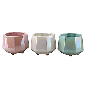 Happyyami 3pcs Flowerpot Office Decor Ceramic Plant Container Mini Plants Miniature Holder Marbling Plant Pot Home Modern Decor Plant Basin Decorative Flower Pot European Style Bonsai Pot