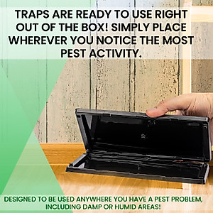 T3-R Sticky Traps for Bugs Extra Large (12 Pack) - Mouse and Insect Glue Boards - Disposable Non-Toxic Glue Traps for Mice and Rats - Extra Strength Sticky Glue Traps for Rodent