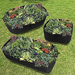 Fabric Raised Planting Bed, Garden Grow Bags Herb Flower Vegetable Plants Bed Rectangle Planter 2‘x4' (3ft x 6ft) (2ft x 4ft)