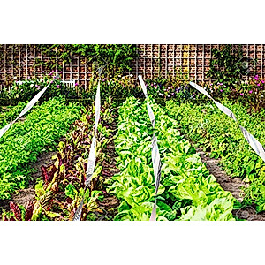 EACILLES Holographic Reflective Bird Scare Ribbon, 2in by 330ft