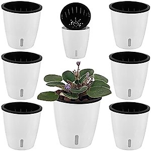 6 Pack 5 Inch Self Watering Pots for Indoor Plants with Water Indicator,Small African Violet Pots for Plants,Self-Watering Planters White for Devil's Ivy,Spider Plant,Orchid for Office Home DéCor.