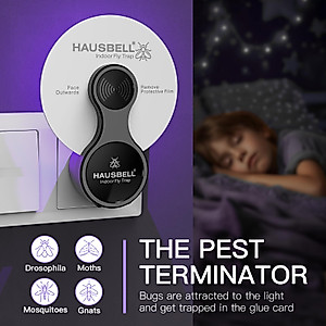 Hausbell Fruit Fly Traps for Indoors, Wall Plug-in Fly swatter, 1 Trap + 2 Glue Cards, Black