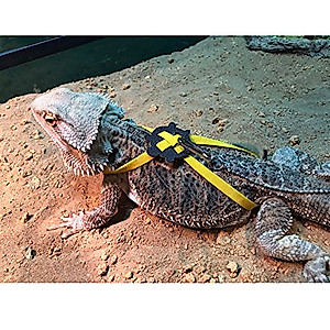 Vehomy Turtle Leash Lizard Leash Tortoise Harness Strap Pet Collar Leash Tortoise Walking Lead Control Rope S