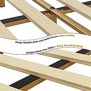 HIFIT King Size Bed Frame, King Bed Frame and Headboard, Heavy Duty Metal Foundation, Upholstered Bed Frame with Velvet Tufted Headboard, Wood Slats Support, No Box Spring Needed, Gold and Black