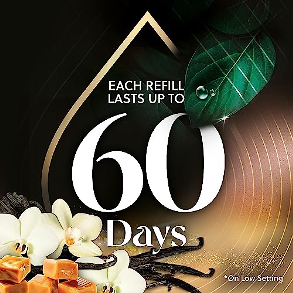 Air Wick Scented Oil - Vibrant Refill Vanilla & Warm Caramel, 5 Refills