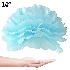 20PCS Acqua Blue,Light Blue,Orange & White Tissue Paper Pom Poms Set-Ideal for Birthday,Bridal Showers,Wedding,Baby Shower Party Decorations (14",10",8",6)