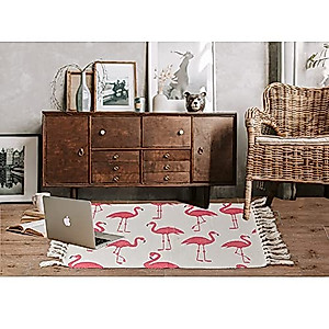 Flamingo Bathroom Rug，2'x3' Red Rugs Runner with Tassels, Small Woven Cotton Kitchen Bath Mat,Throw Rugs for Living Room, Bedroom, Laundry, Kitchen Sink, Doorway, Hallway