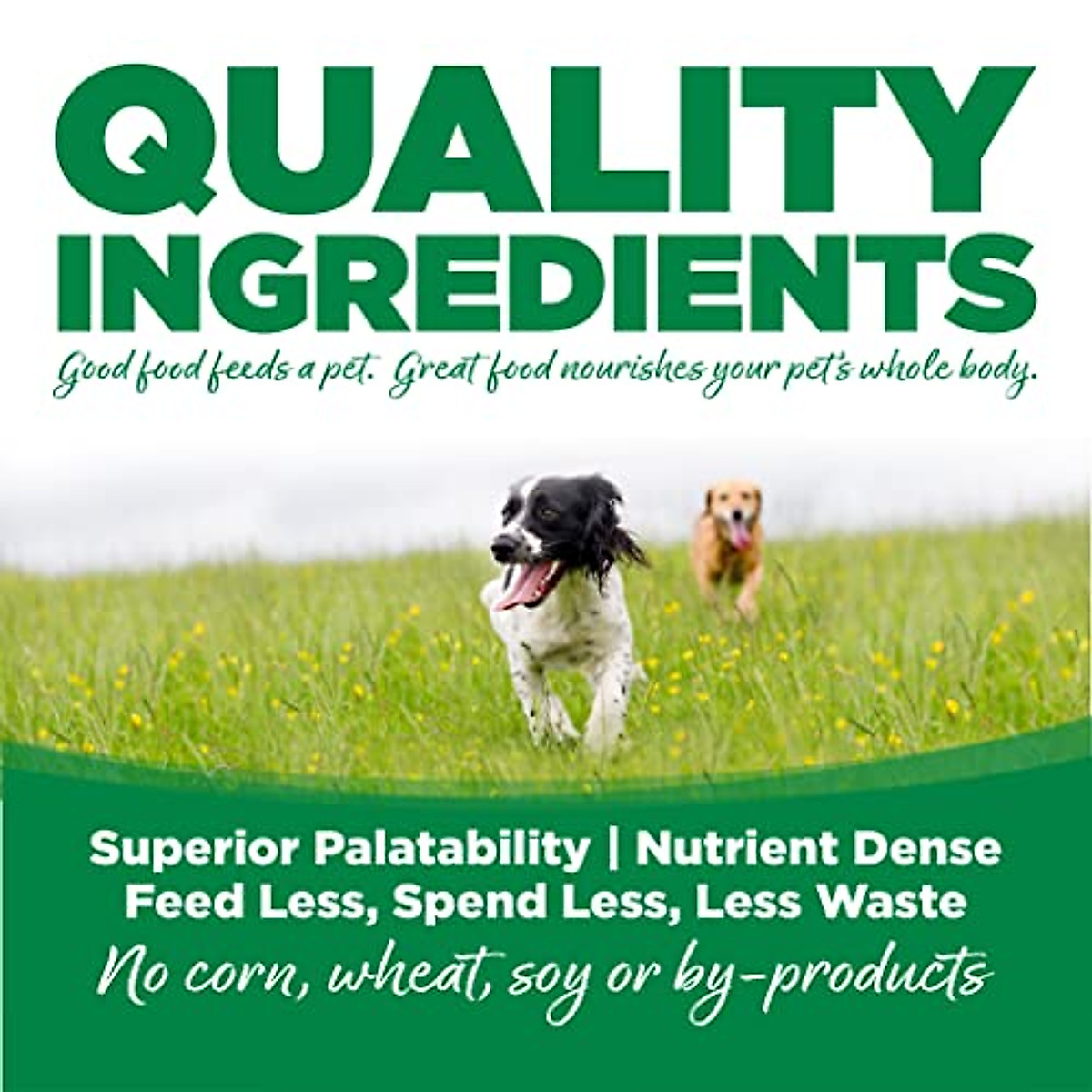 NutriSource Choice Dry Dog Food, Chicken and Barley, 30LB