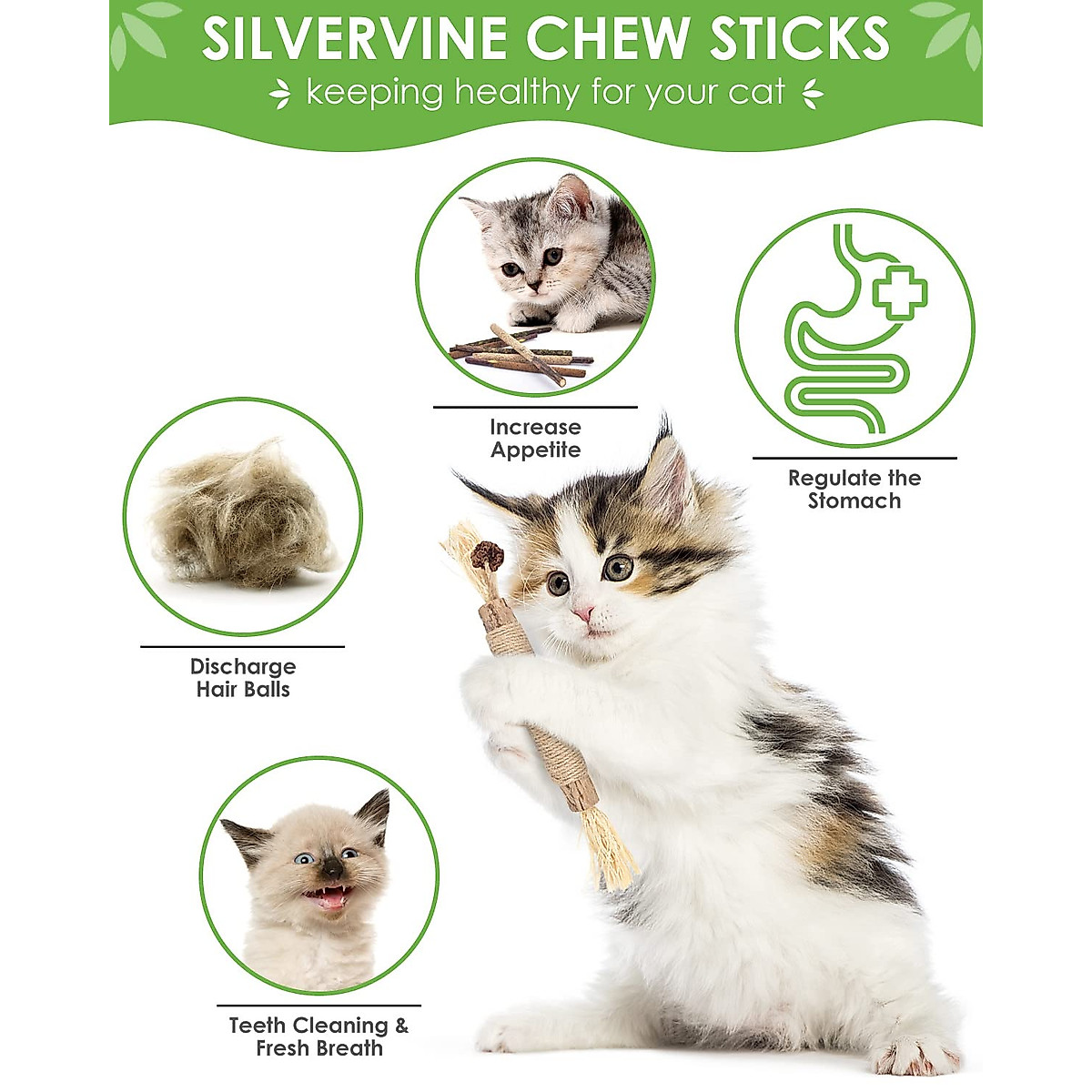 TINDTOP Silvervine Chew Sticks for Cats, 12 Pack Natural Catnip Chew Toys for Kittens Teeth Cleaning, Matatabi Dental Care, Increase Appetite, Calm Cat Anxiety and Stress, Cat Dental Toy