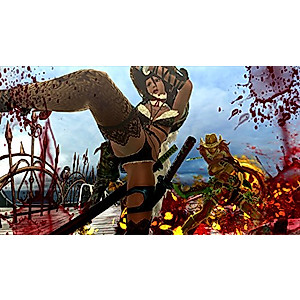 Onechanbara Z2 Chaos