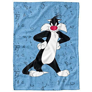 LOGOVISION Looney Tunes Lightweight Baby Blanket, 30"X40", Sylvester Character Unisex for Infants Girls & Boys