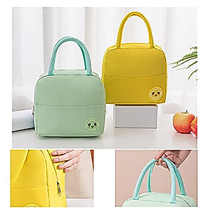 Lunch Bag, CottBelle Insulated Lunch Bag Simple Large Waterproof Meal Container Adult Kids Lunch Tote Bag For Men or Women College Work Picnic Hiking Beach Fishing (Green, Small)