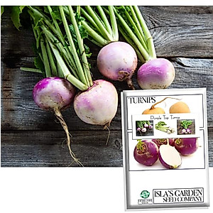 Purple Top Turnip Seeds for Planting, 1000+ Heirloom Seeds Per Packet, (Isla's Garden Seeds), Non GMO Seeds, Botanical Name: Brassica rapa subsp. rapa, Great Home Garden Gift