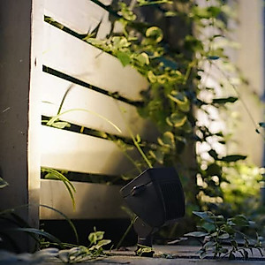 VENUS MANUFACTURING 2 Pack Low Voltage Wall Wash Lights 12V LED Landscape Lighting 18 Watt 600 Lumen Flag Light 2700K Warm White Metal Outdoor Spotlight Black Trees Light for Garden & Yard