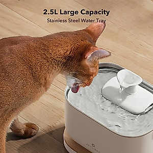 PETLIBRO App Monitoring Cat Water Fountain with Wireless Pump, 2.5L/84oz Dockstream Pet Water Fountain for Cats Inside, Automatic Cat Water Dispenser with 2.4GHz Wi-Fi, Smart Fountain, App Control