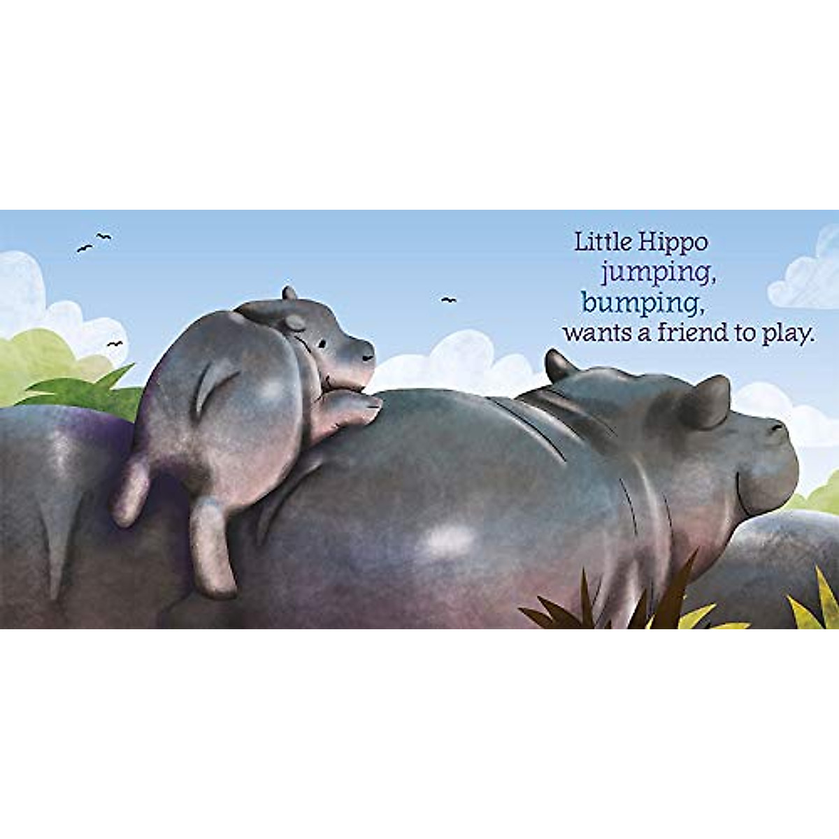 Little Hippo (Little Animal Friends)