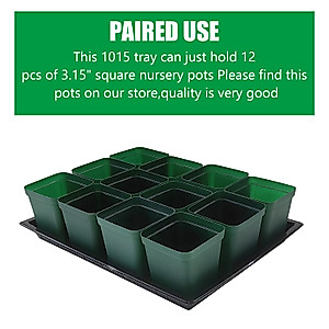 RooTrimmer Grow-Green 10-Pack Microgreen Seed Starter Grow Trays for Seedlings, Shallow Seeding Germination Flats Non Standard 1015 Tray no Holes Plant Sprouter Propogation Tray