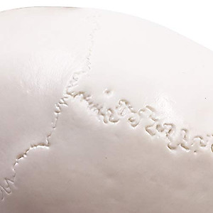 3-Part Human Skull Model - Life Size Removable Medical Detailed Anatomical Adult Head Bone