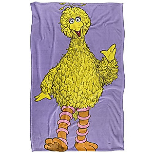 Sesame Street Big Bird Painted Officially Licensed Silky Touch Super Soft Throw Blanket 36" x 58"