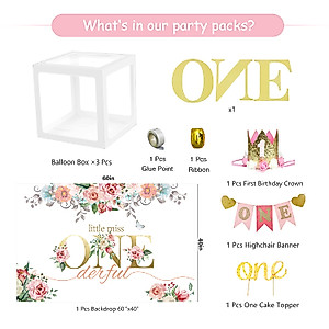 PYCALOW First Birthday Decorations Girl - 1st Birthday Baby Girl Decorations Include Balloons Box, Backdrop, Crown, Banner, High Chair Banner, Topper, Baby First One Year Old Girl Party Supplies