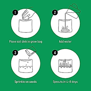 The Cat Ladies Cat Grass Grow Bag Kit, Organic Cat Grass for Indoor Cats, Seeds, 3 Pack Soil, Seeds & Grow Bags