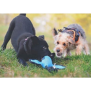 Nerf Dog Large Nylon Launching Duck with Interactive Design, Blue (3473), for All Breed Sizes