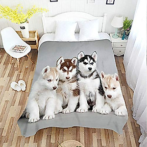 Moslion Soft Cozy Throw Blanket Husky Puppies Dogs Fuzzy Warm Couch/Bed Blanket for Adult/Youth Polyester 60 X 80 Inches(Home/Travel/Camping Applicable)