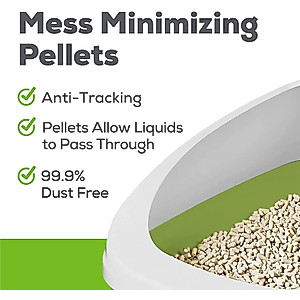 Aurora Pet Bundle (2) Tidy Cat Breeze Enhanced Active Clean Scent Cat Litter Pellets, Refill 3.5 lb with Aurora Pet Wet Wipes