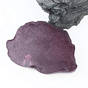 Balacoo Reptile Feeder Bowl Resin Bearded Dragon Food and Water Feeding Dish for Lizard,Gecko,Bearded Dragon,Turtle