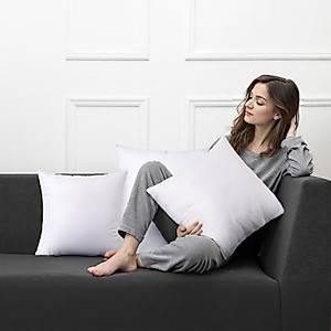 MIULEE Throw Pillow Insert Hypoallergenic Premium Pillow Stuffer Sham Rectangle for Decorative Cushion Bed Couch Sofa 12x20 Inch