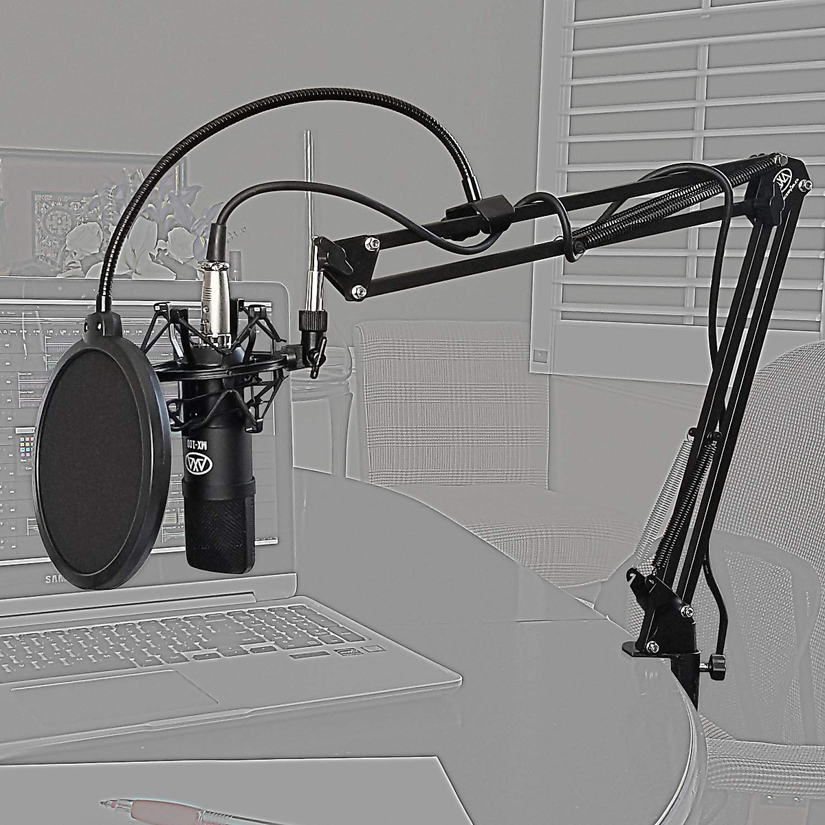 AxcessAbles MX-100 Professional Cardioid Studio Condenser XLR Microphone with AxcessAbles SF-101 Half Dome Isolation Shield for Streaming & Studio Recording