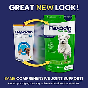 Vetoquinol Flexadin Hip and Joint Supplement with Glucosamine for Dogs, Joint Support Chew with Green-Lipped Mussel and MSM, 90-Count