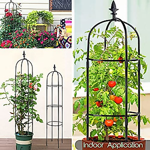 Plant Cages and Supports, Deaunbr Tomato Cage 6FT Tall Plant Stakes Heavy Duty Garden Trellis for Indoor & Outdoor Plants, Climbing Plant, Tomatoes, Vegetables, Fruits, Flowers, Pots, Vines -1 Pcs