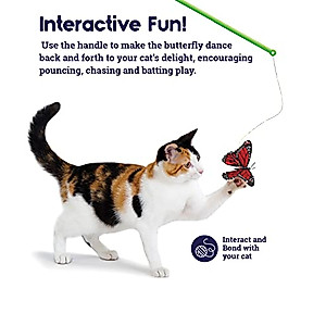 Petstages Butterfly Chase Cat Teaser Wand